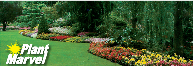 Plant Marvel - Plant Marvel Laboratories -- Fertilizers, Custom Blending
