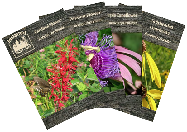 Roundstone Native Seed - Roundstone Native Seed
